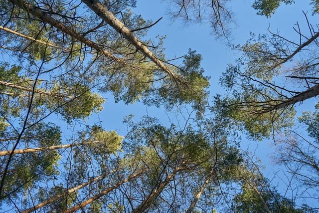AdventureWalk Thüringen (Sa) - Wanderrausch